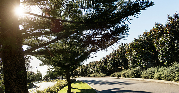 House and Land Packages Halls Head, WA - Homebuyers Centre